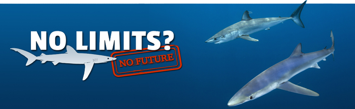 Communications and Management for Sustainability